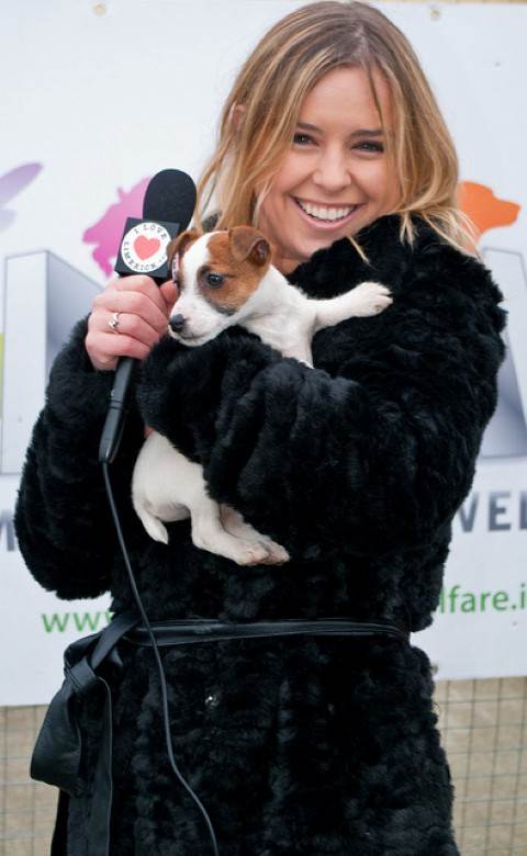 PHOTOS: Animal Welfare Store - Media - I Love Limerick
