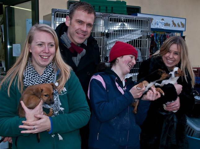 PHOTOS: Animal Welfare Store - Media - I Love Limerick