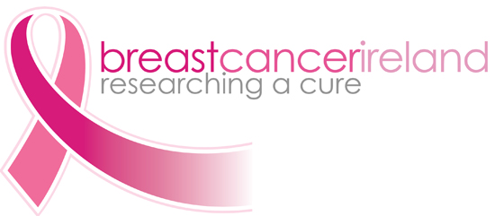 Unicorn Cancer Fundraiser – I Love Limerick