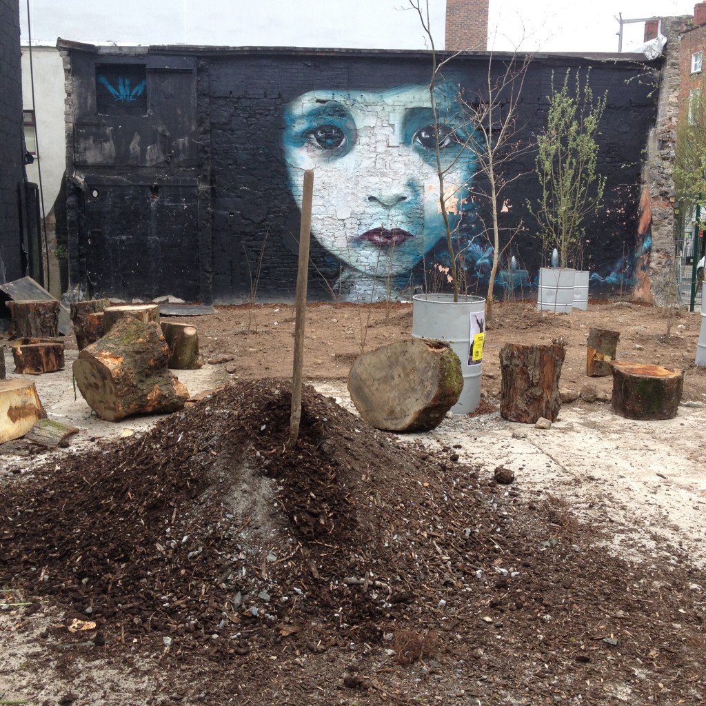 Limerick Wildlife - Creating space for nature – I Love Limerick