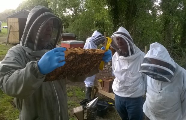 Limerick Beekeepers Association Annual Beginner Course 2018