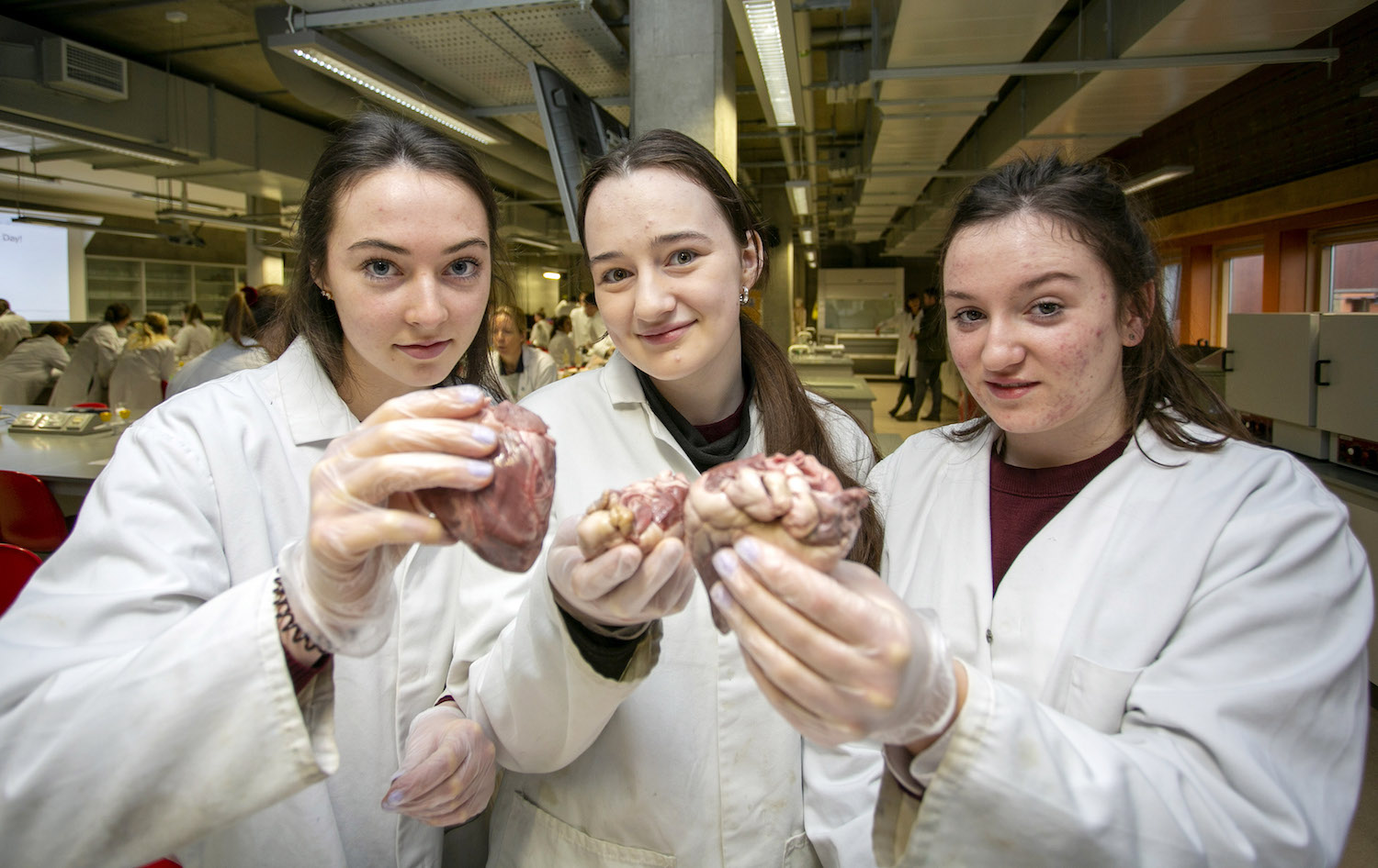 Leaving Cert Biology students get hands-on experience at UL