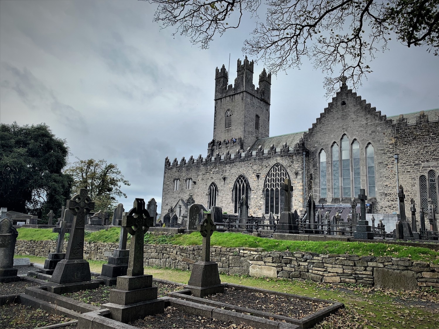 Ode to Joy with St Mary's Cathedral LIVE from your home