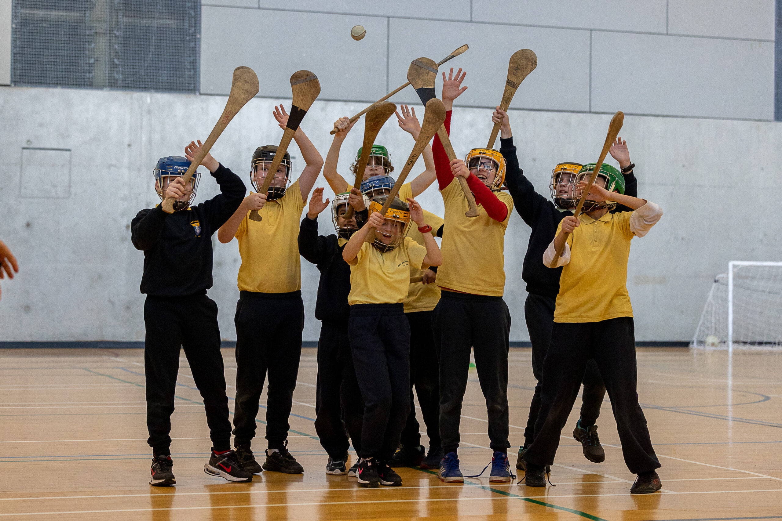 Continuing Professional Development course partners GAA & MIC