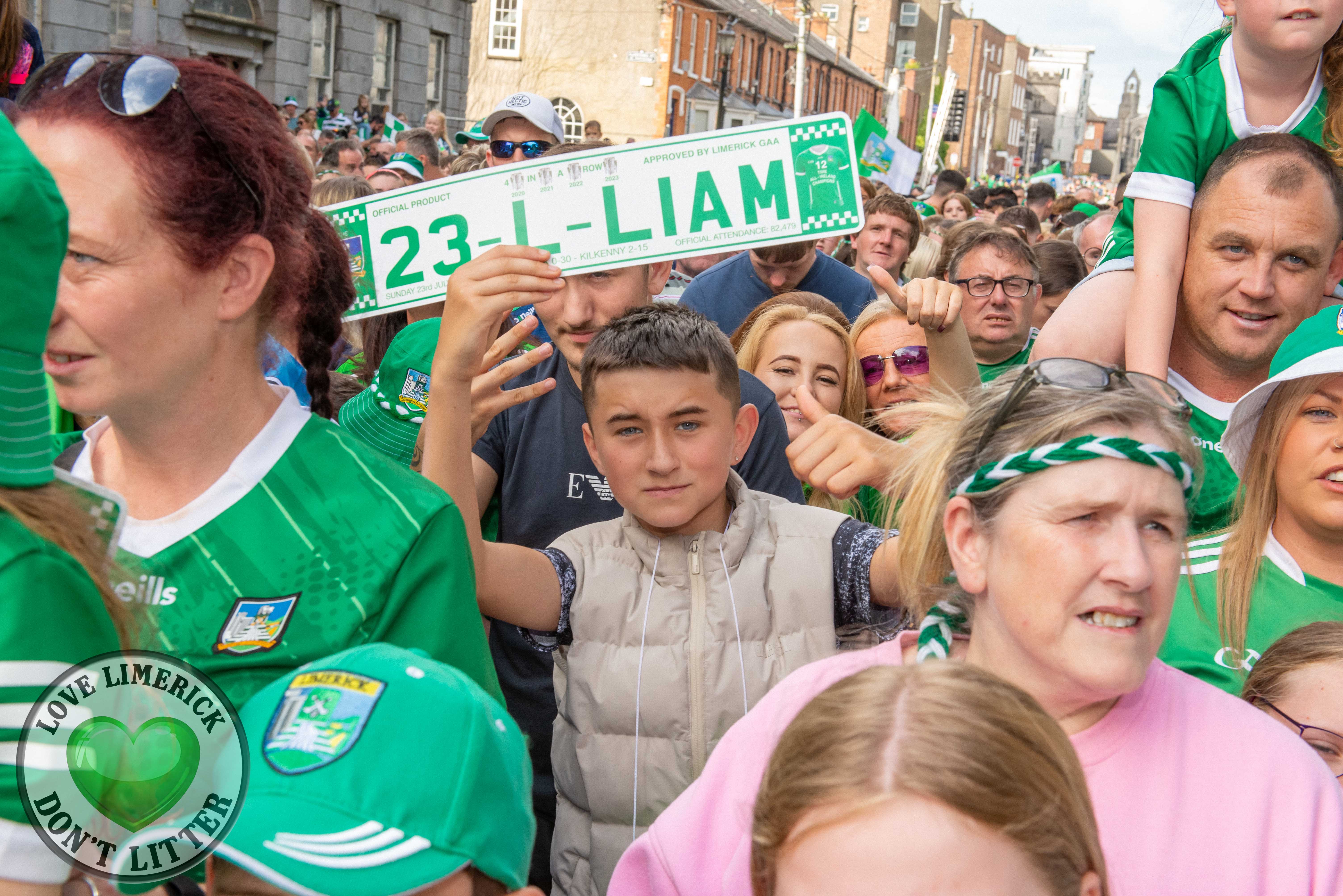 Limerick hurling heroes welcomed home in Limerick City