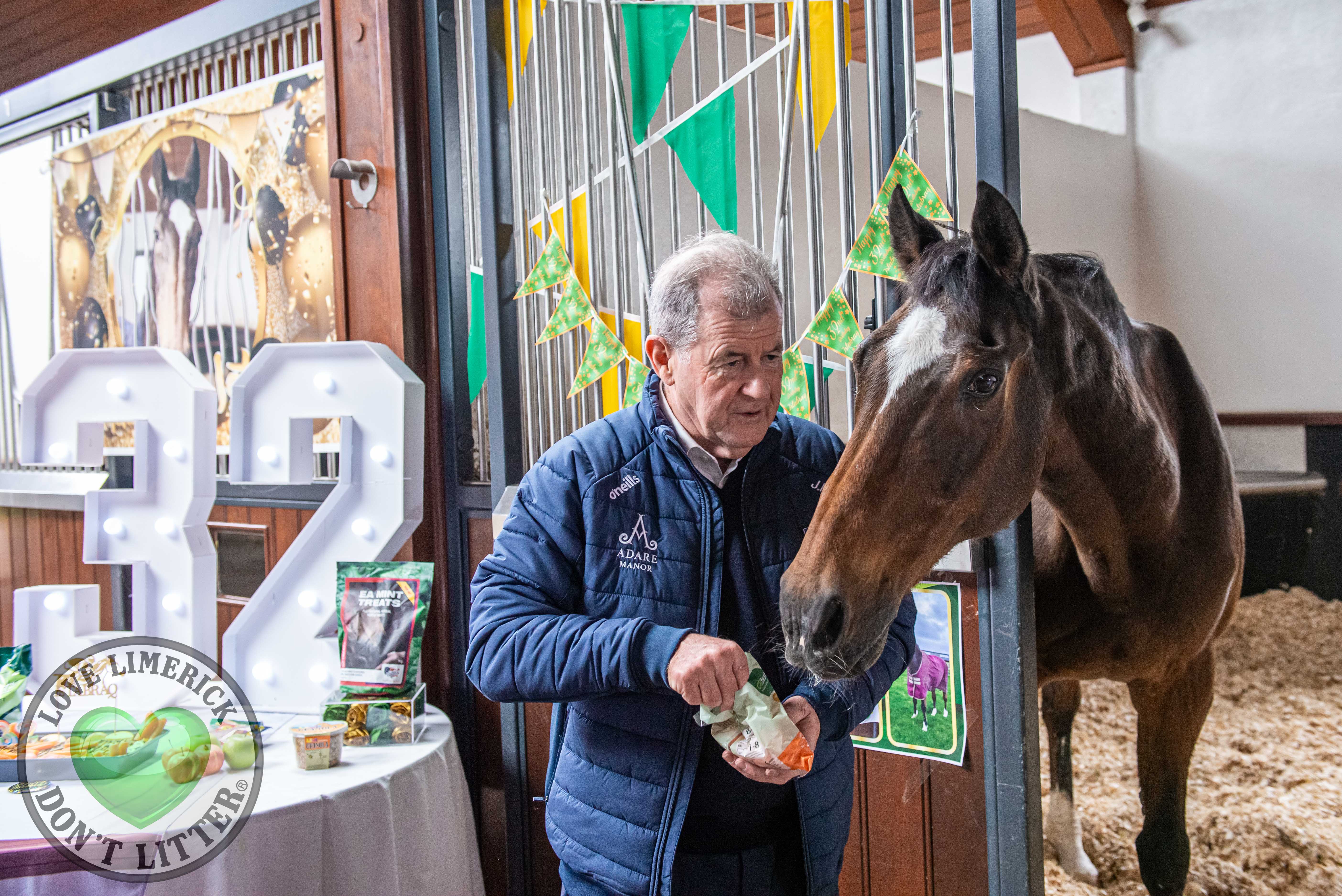 Istabraq celebrates 32nd birthday at Martinstown Stud