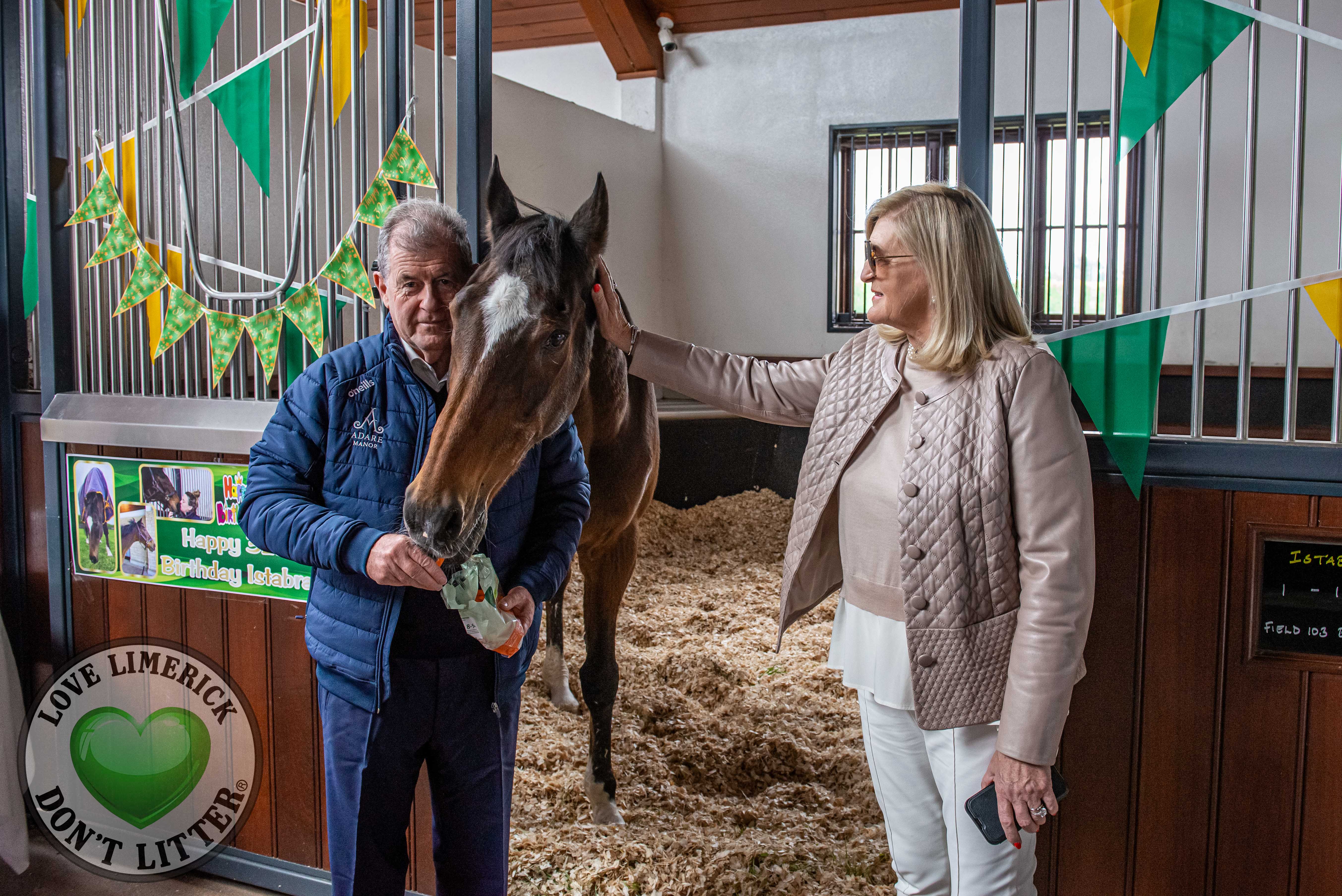 Istabraq celebrates 32nd birthday at Martinstown Stud