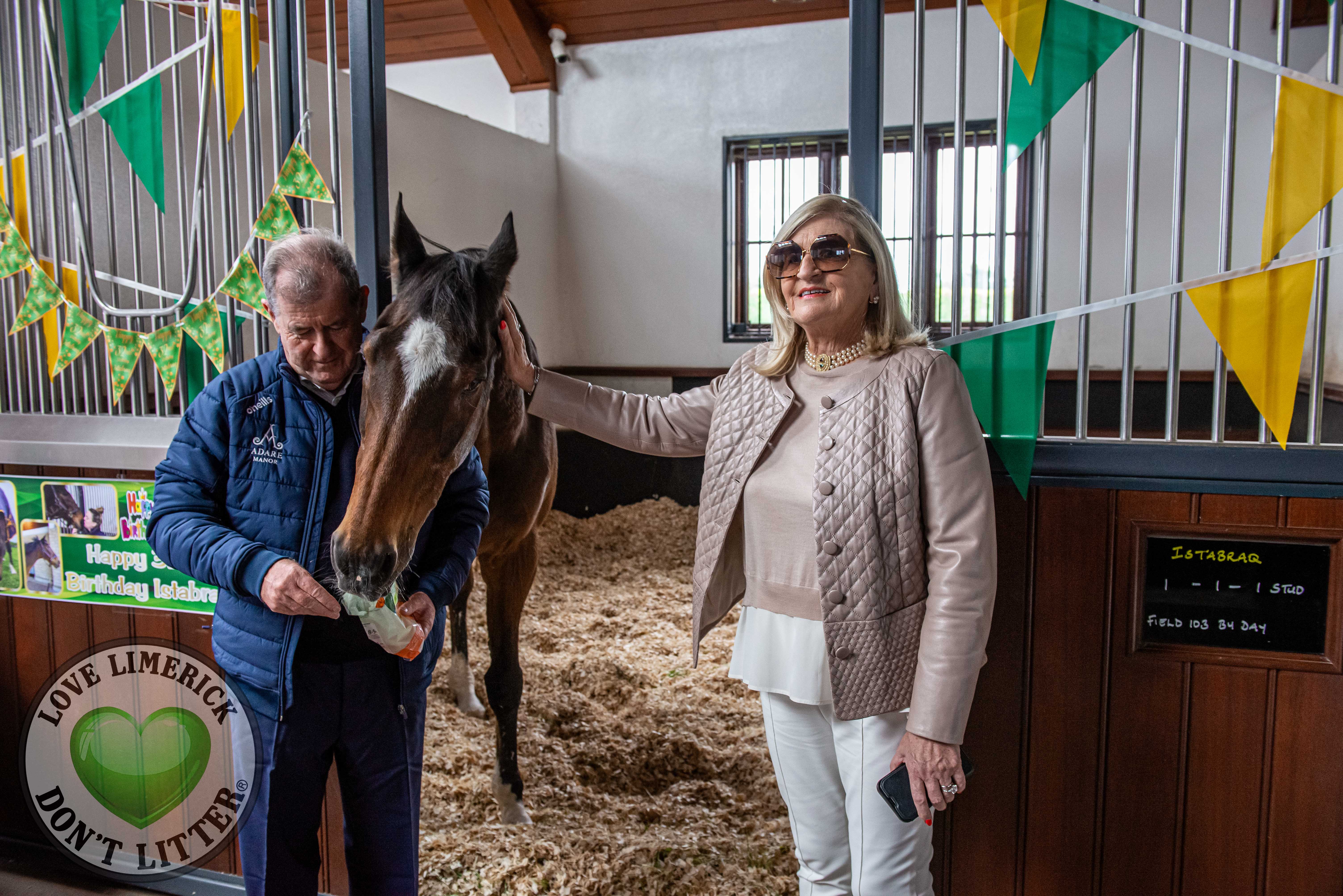 Istabraq celebrates 32nd birthday at Martinstown Stud
