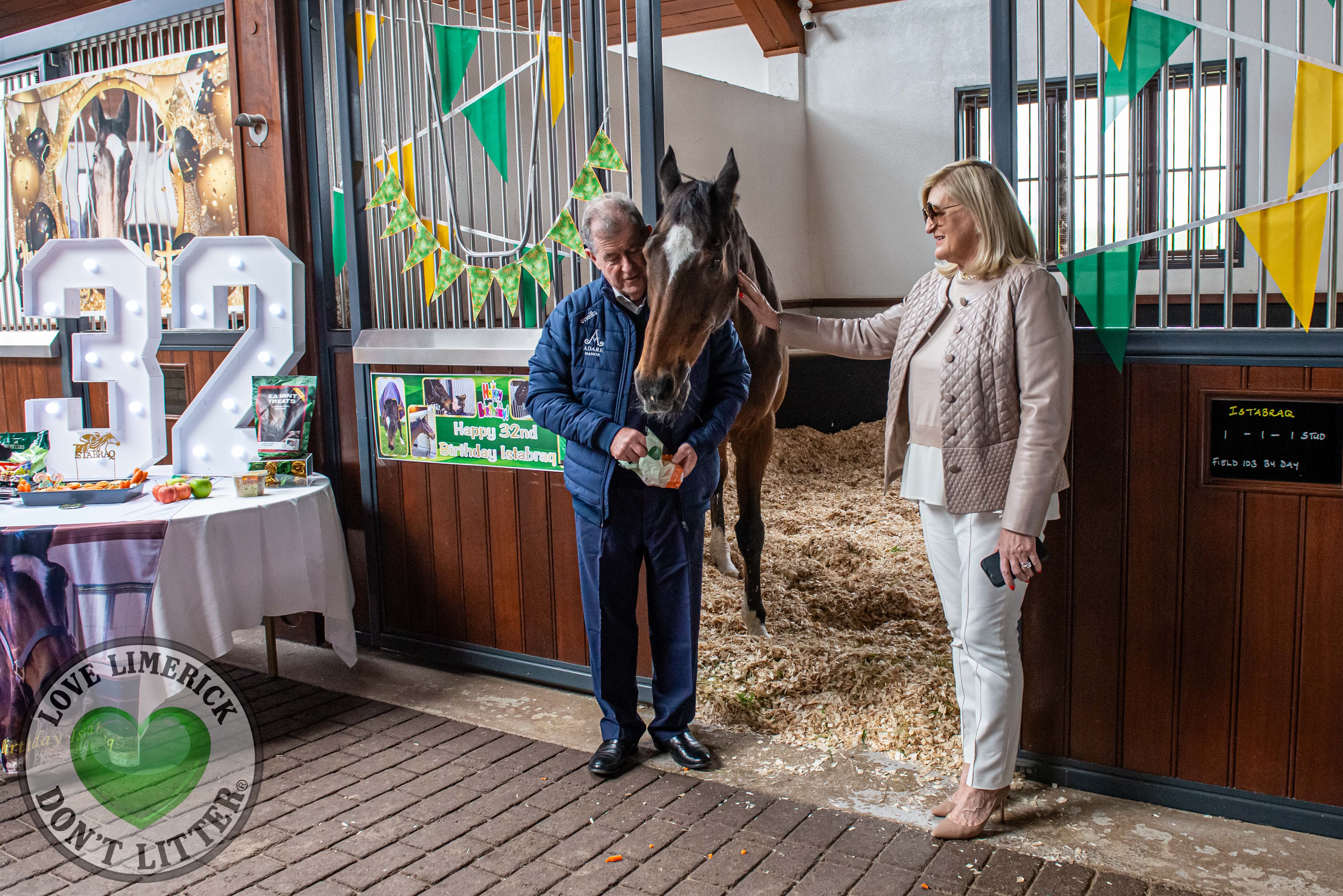 Istabraq celebrates 32nd birthday at Martinstown Stud