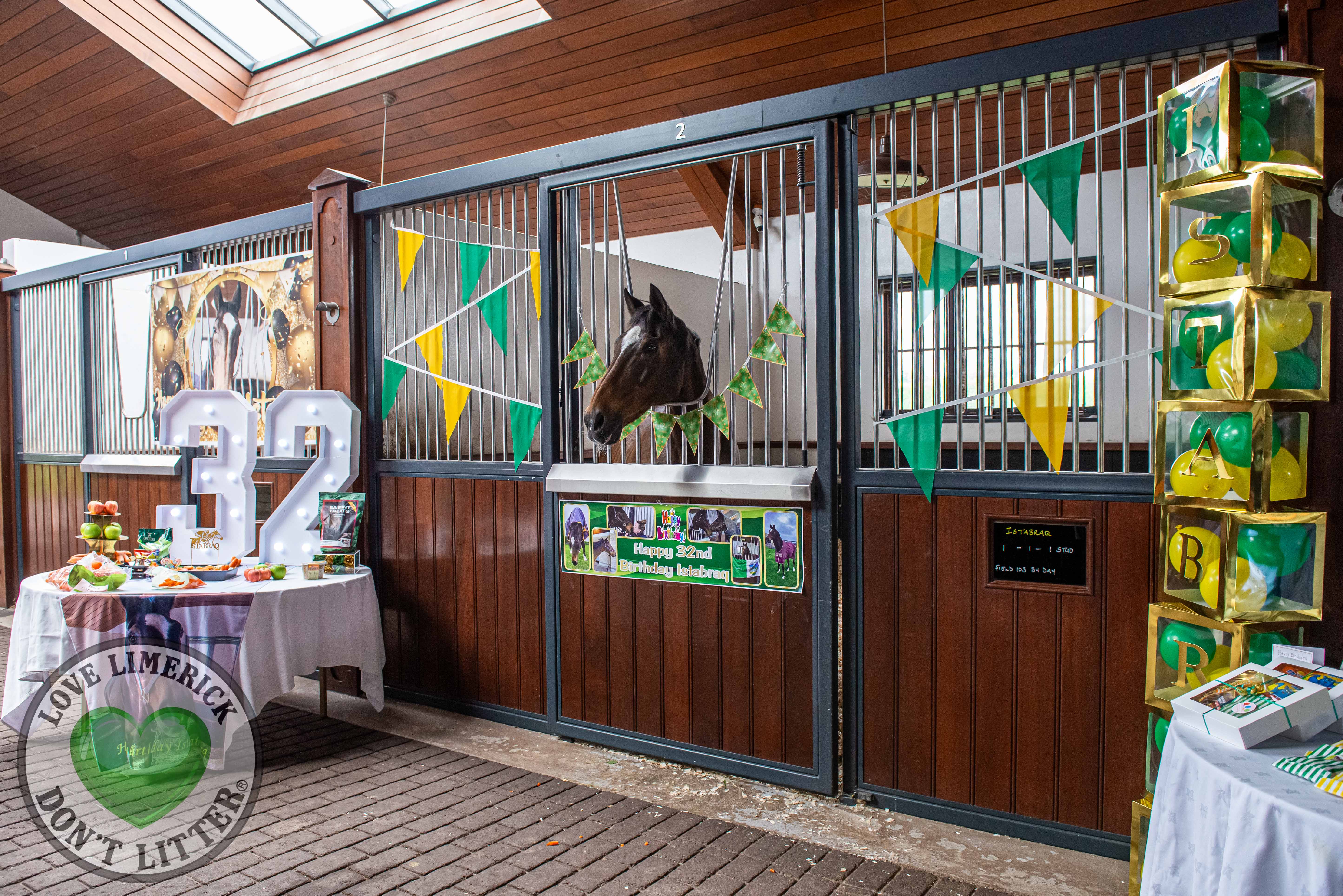 Istabraq celebrates 32nd birthday at Martinstown Stud
