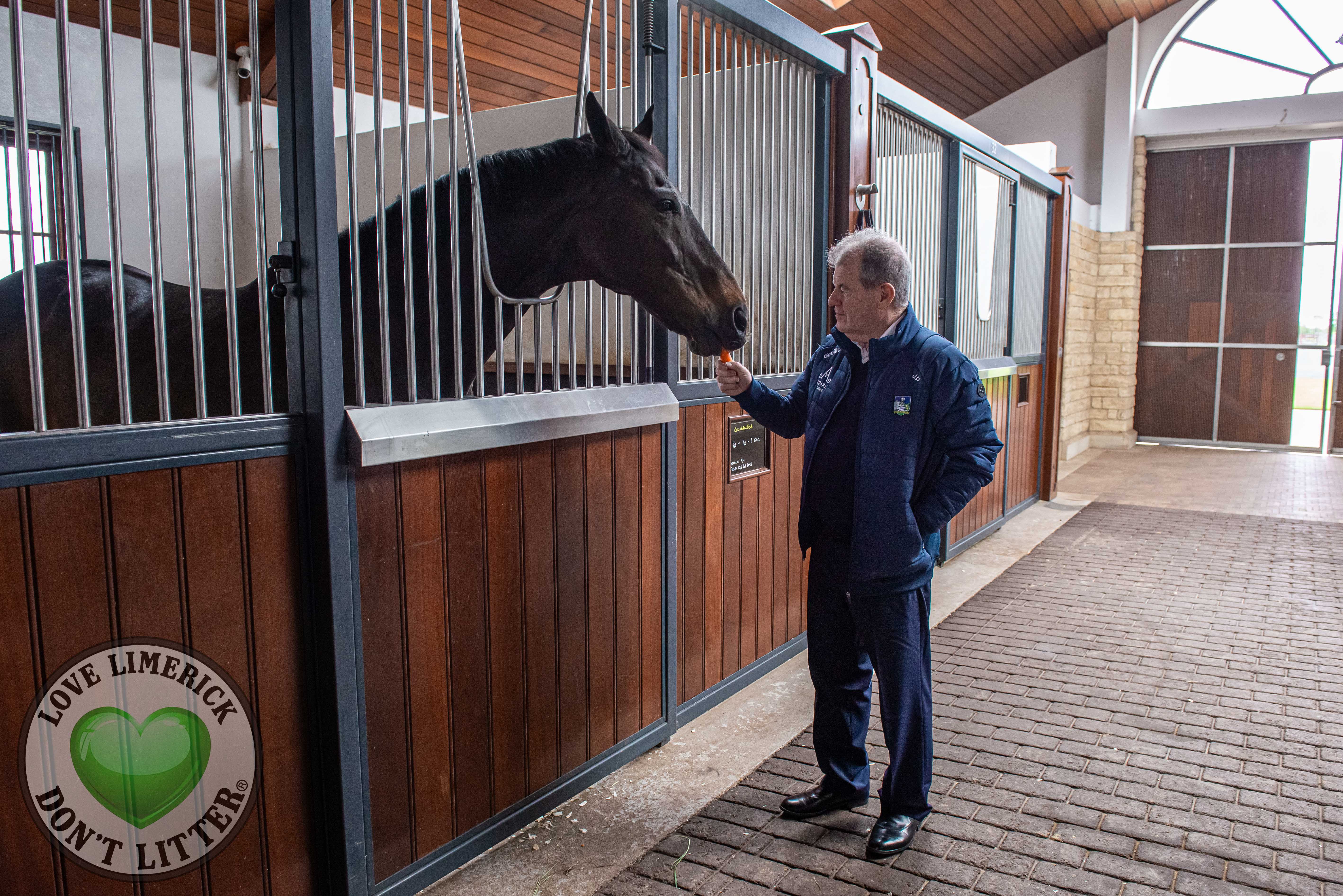 Istabraq celebrates 32nd birthday at Martinstown Stud