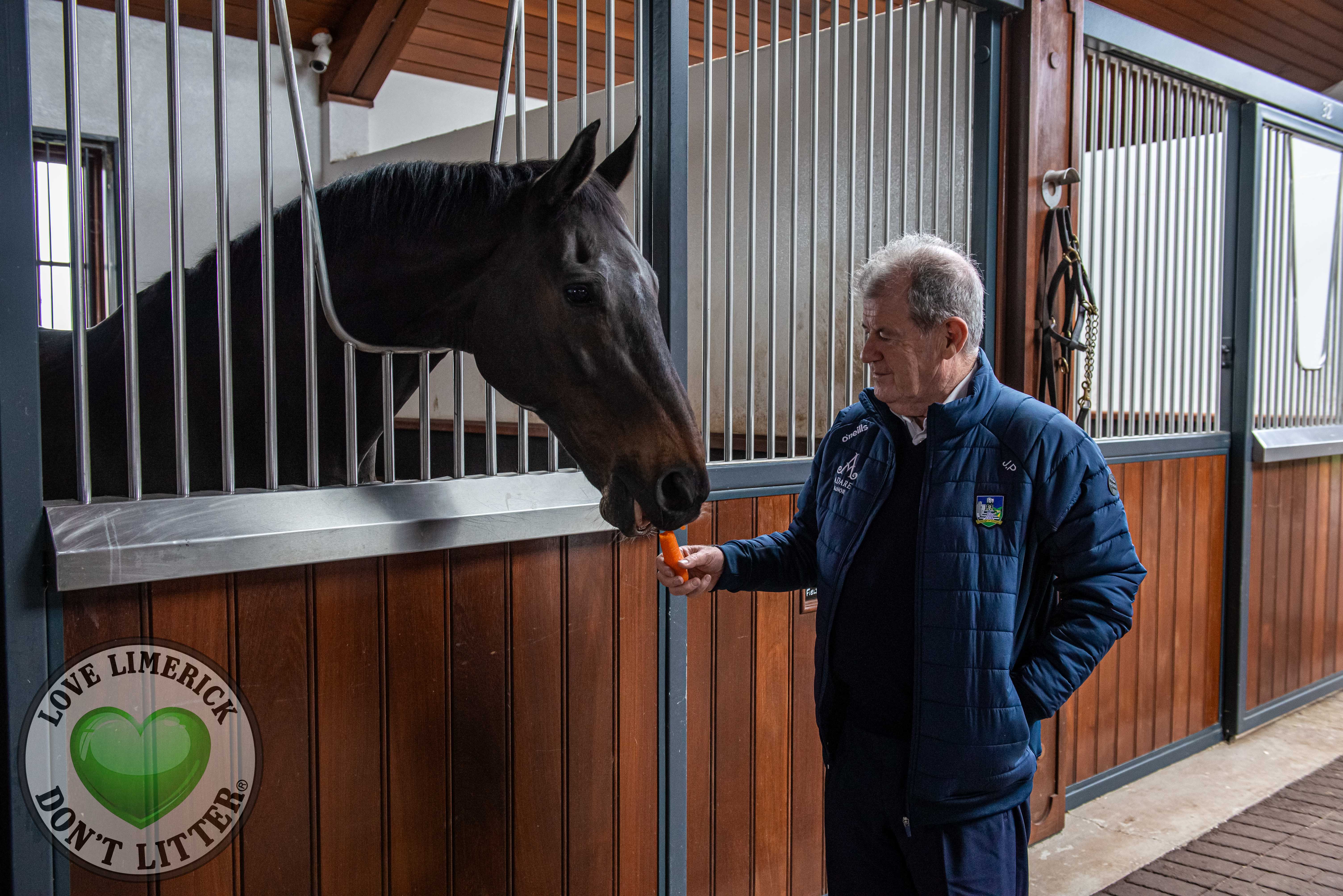Istabraq celebrates 32nd birthday at Martinstown Stud