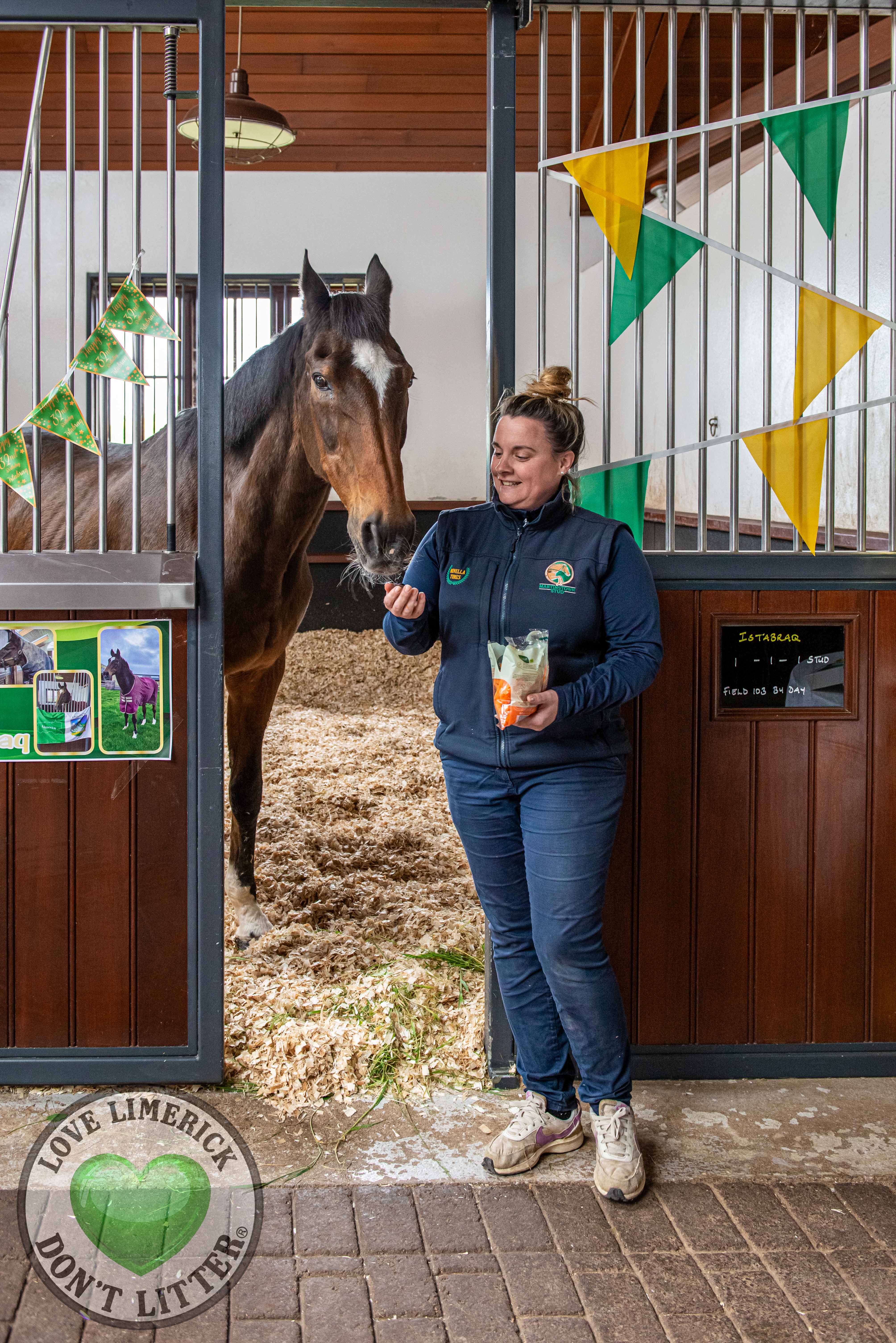 Istabraq celebrates 32nd birthday at Martinstown Stud