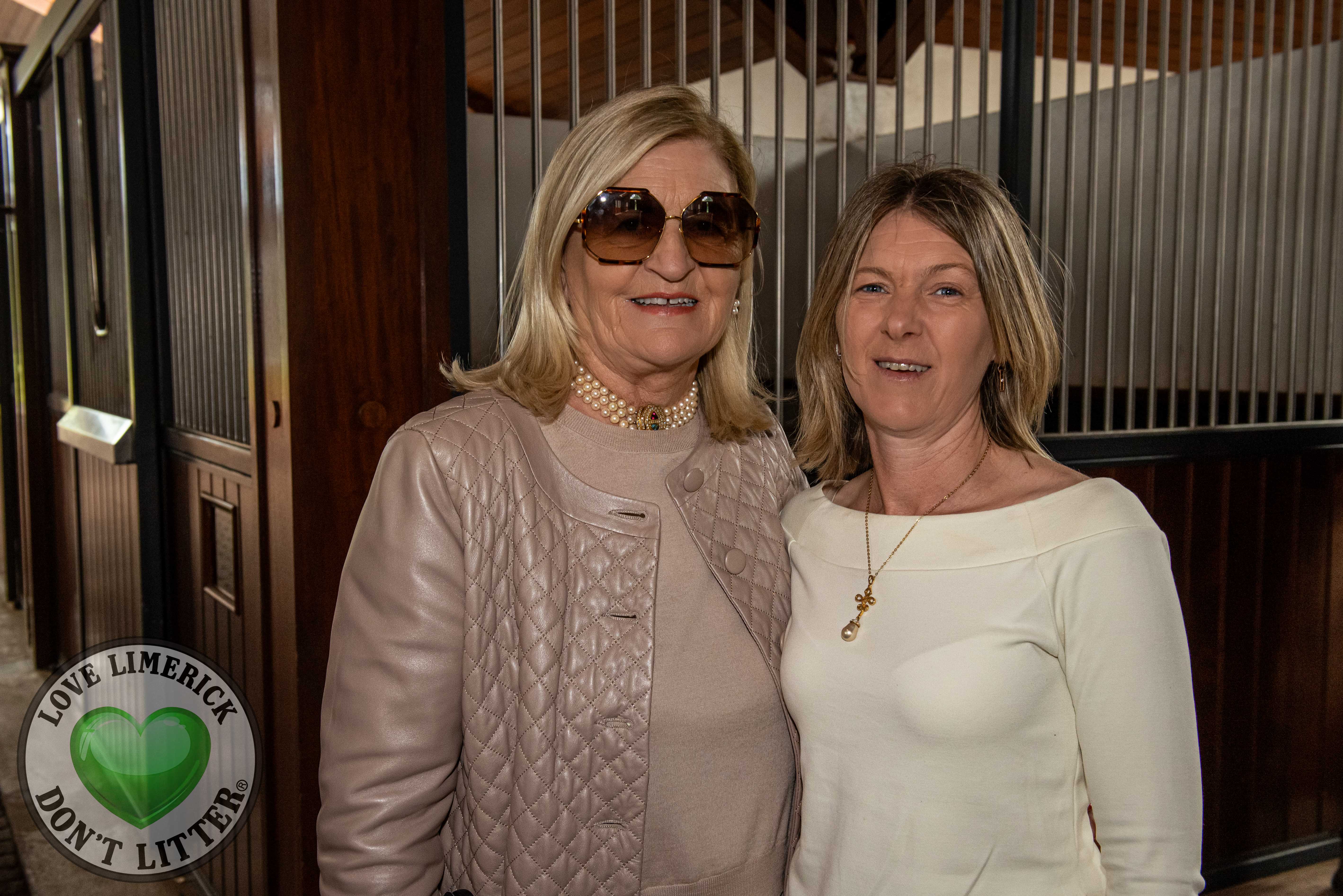 Istabraq celebrates 32nd birthday at Martinstown Stud