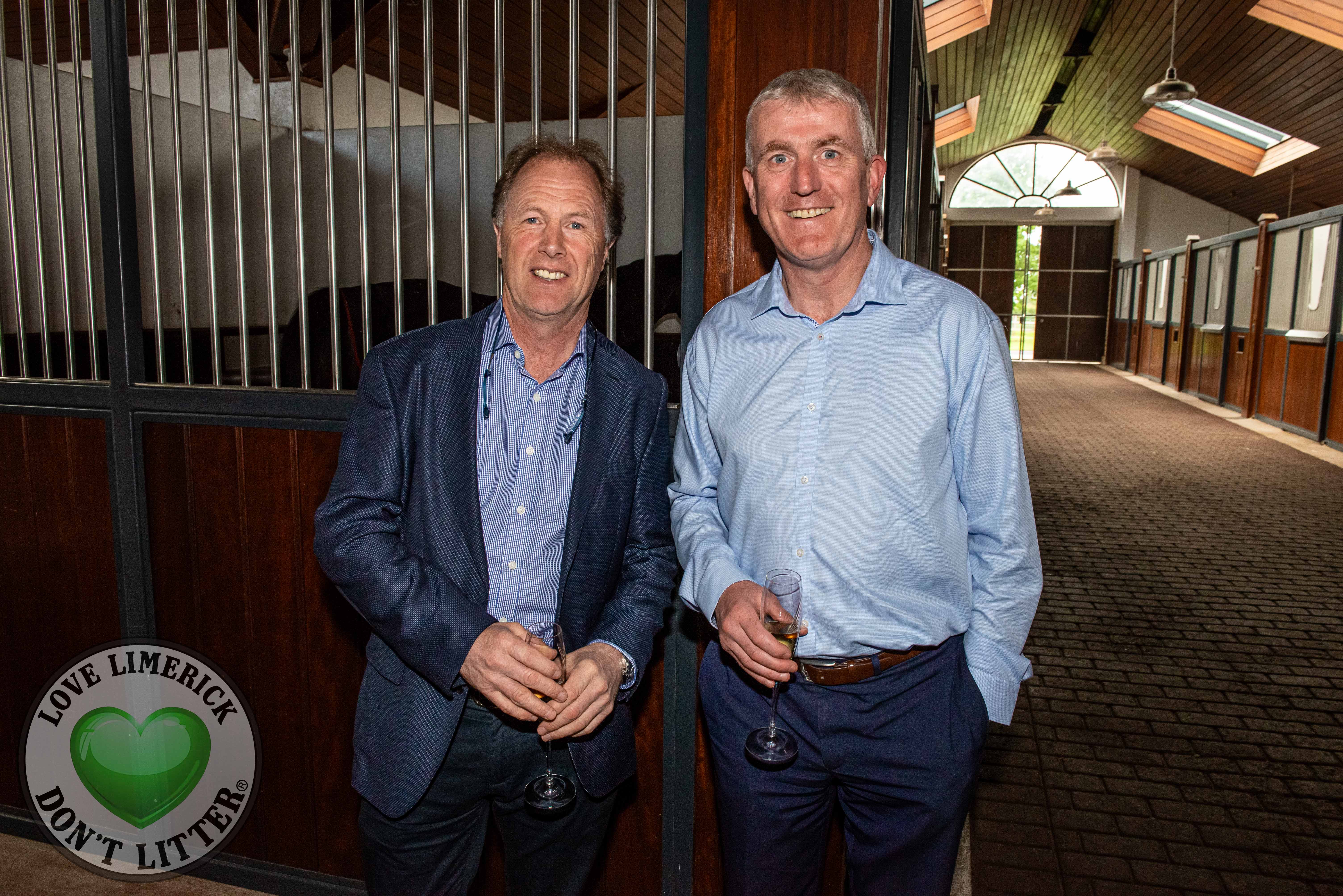 Istabraq celebrates 32nd birthday at Martinstown Stud