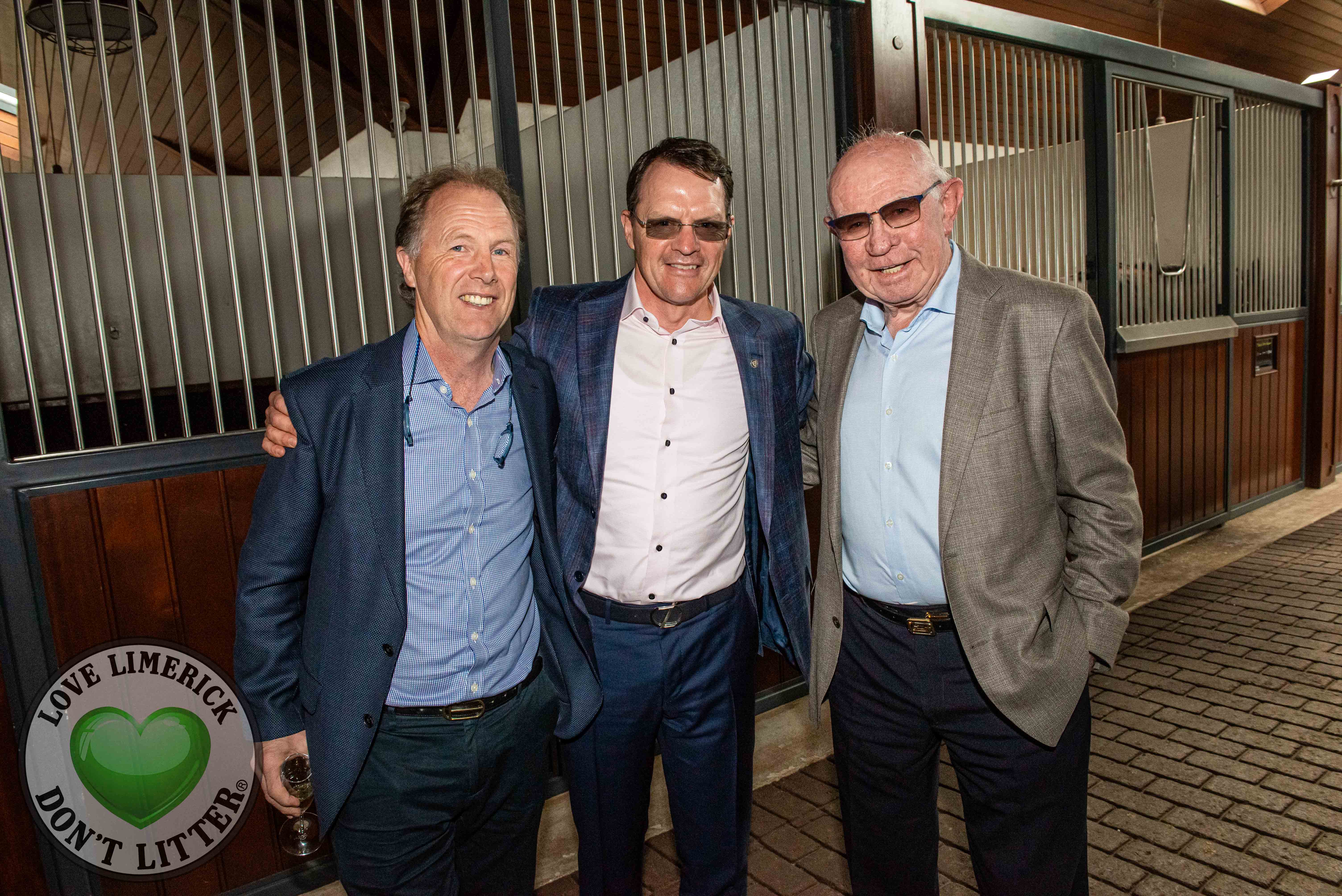 Istabraq celebrates 32nd birthday at Martinstown Stud