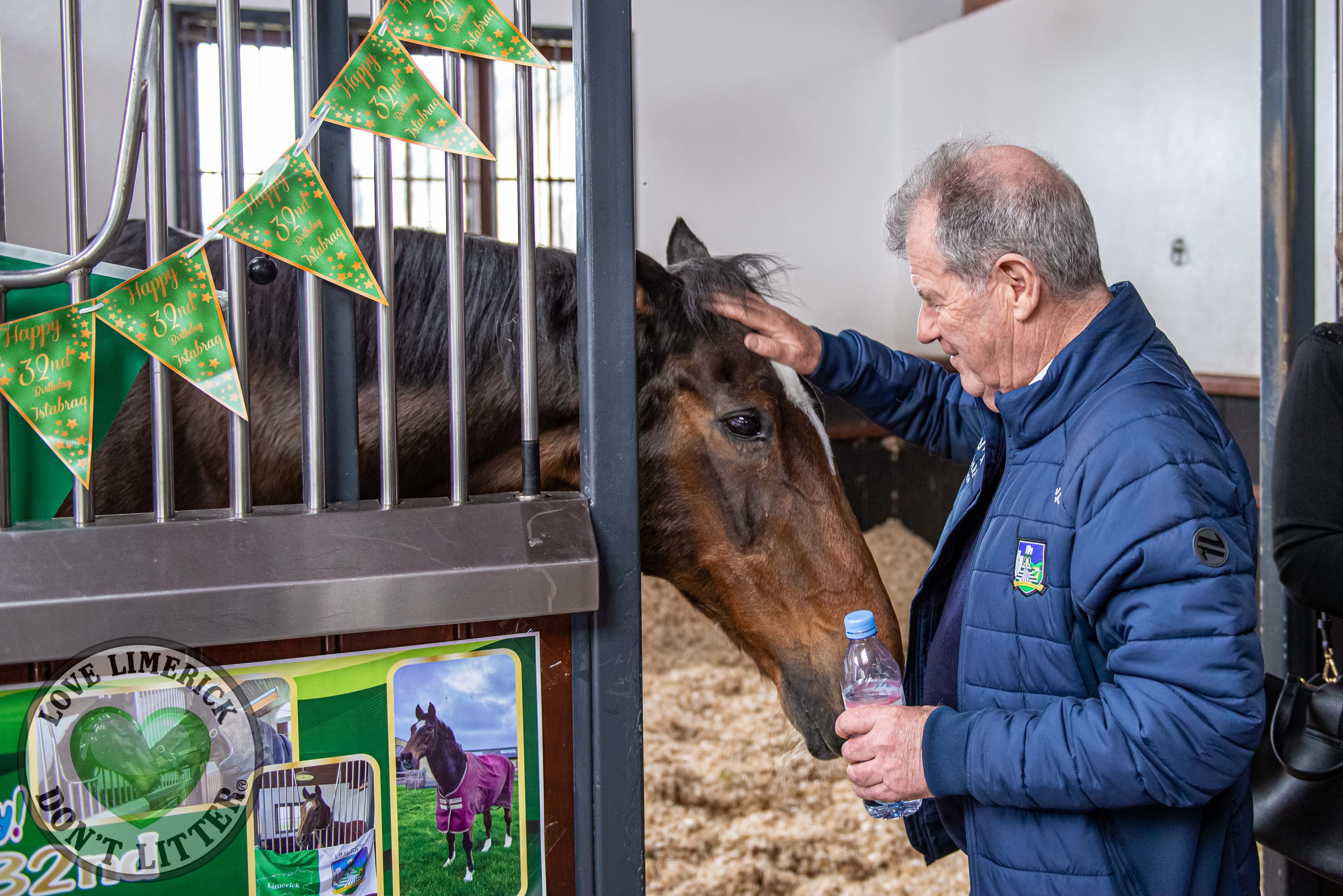 Istabraq celebrates 32nd birthday at Martinstown Stud