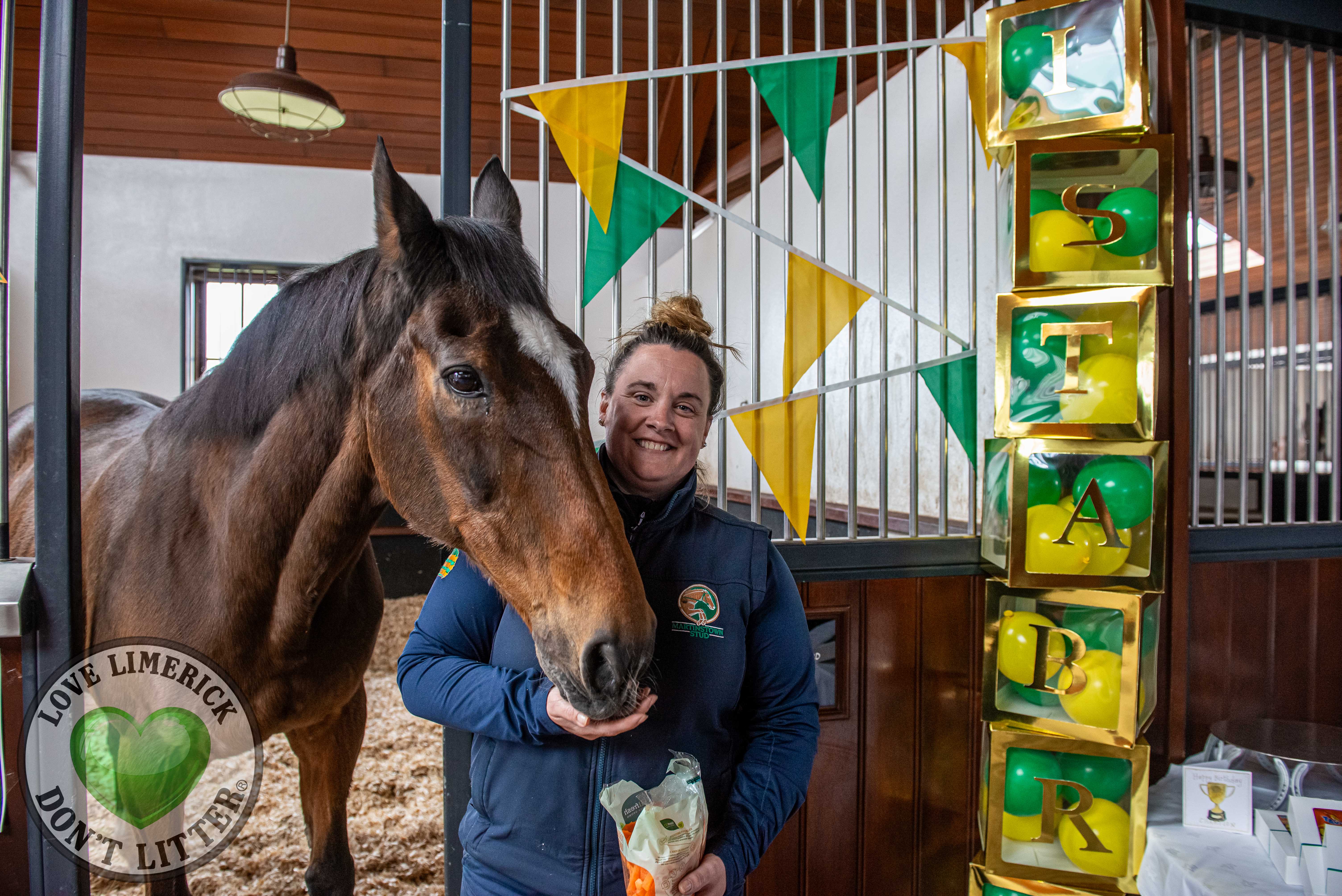 Istabraq celebrates 32nd birthday at Martinstown Stud