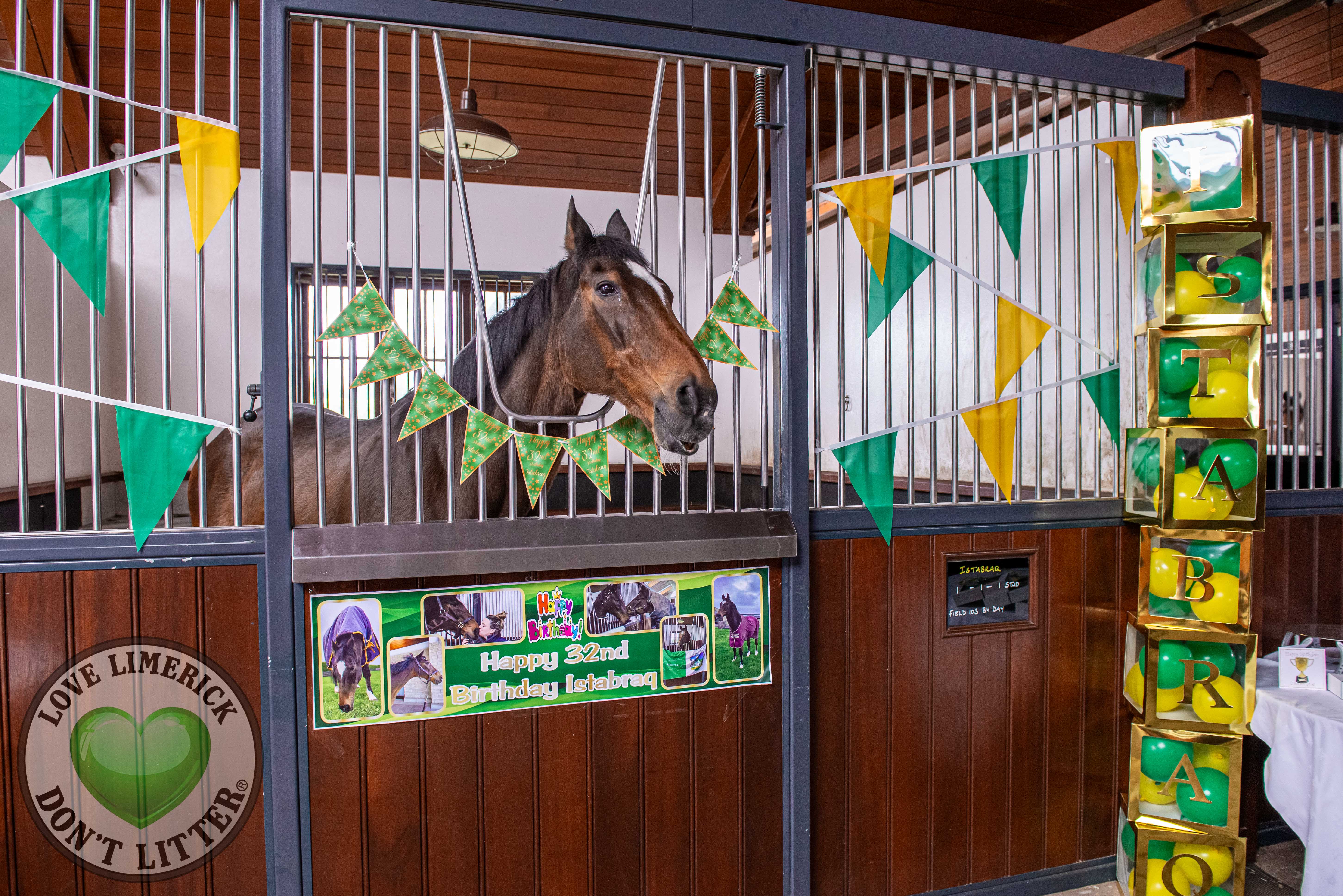 Istabraq celebrates 32nd birthday at Martinstown Stud