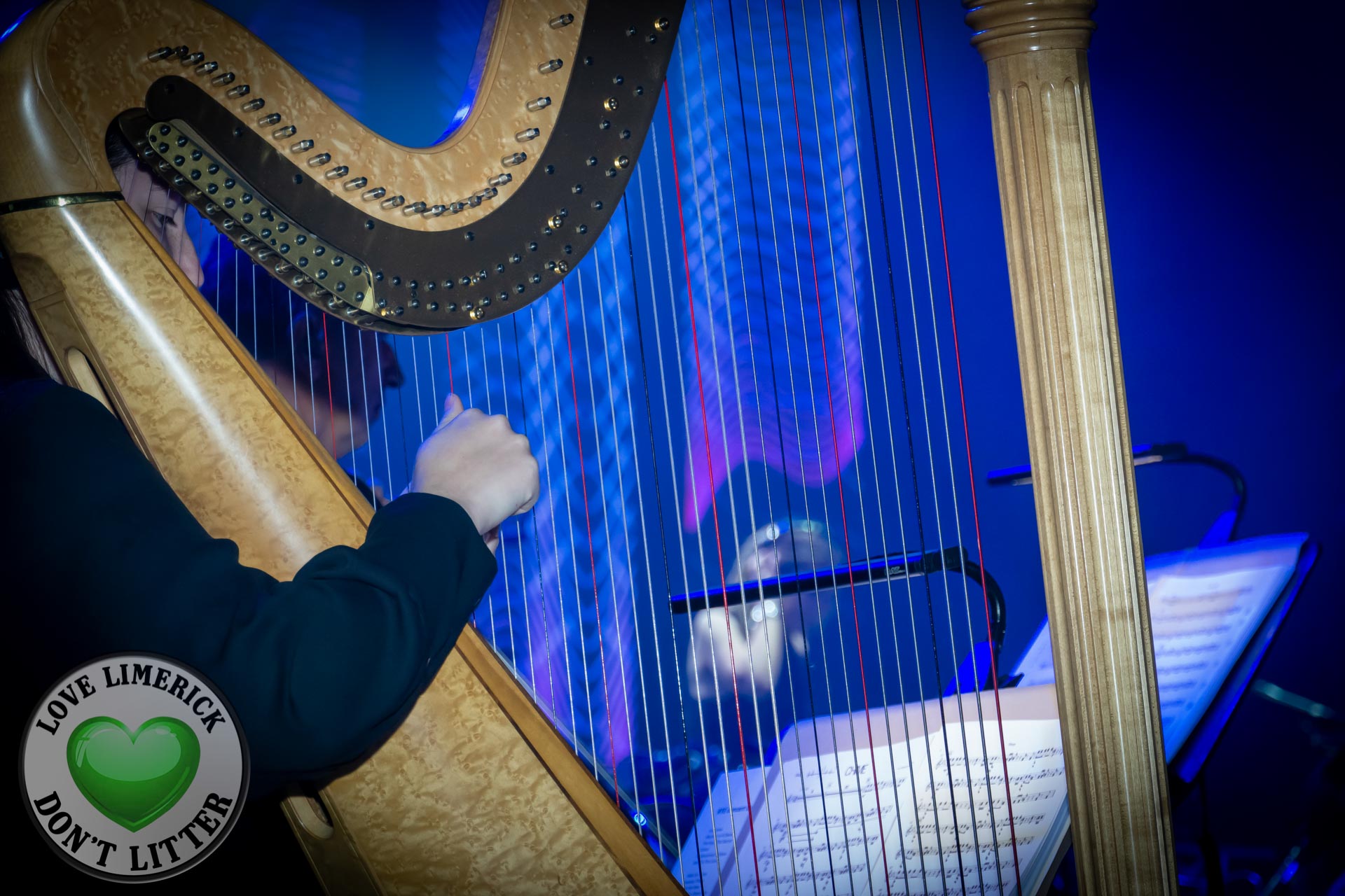 Live at the Docklands 2022 Hosts Jenny Greene & RTE Concert Orchestra
