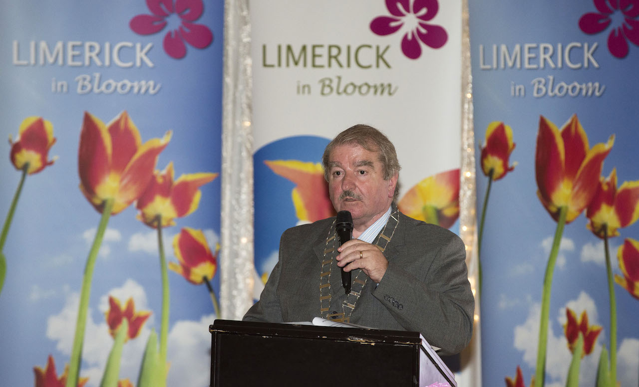 Athea retains Limerick In Bloom title – I Love Limerick