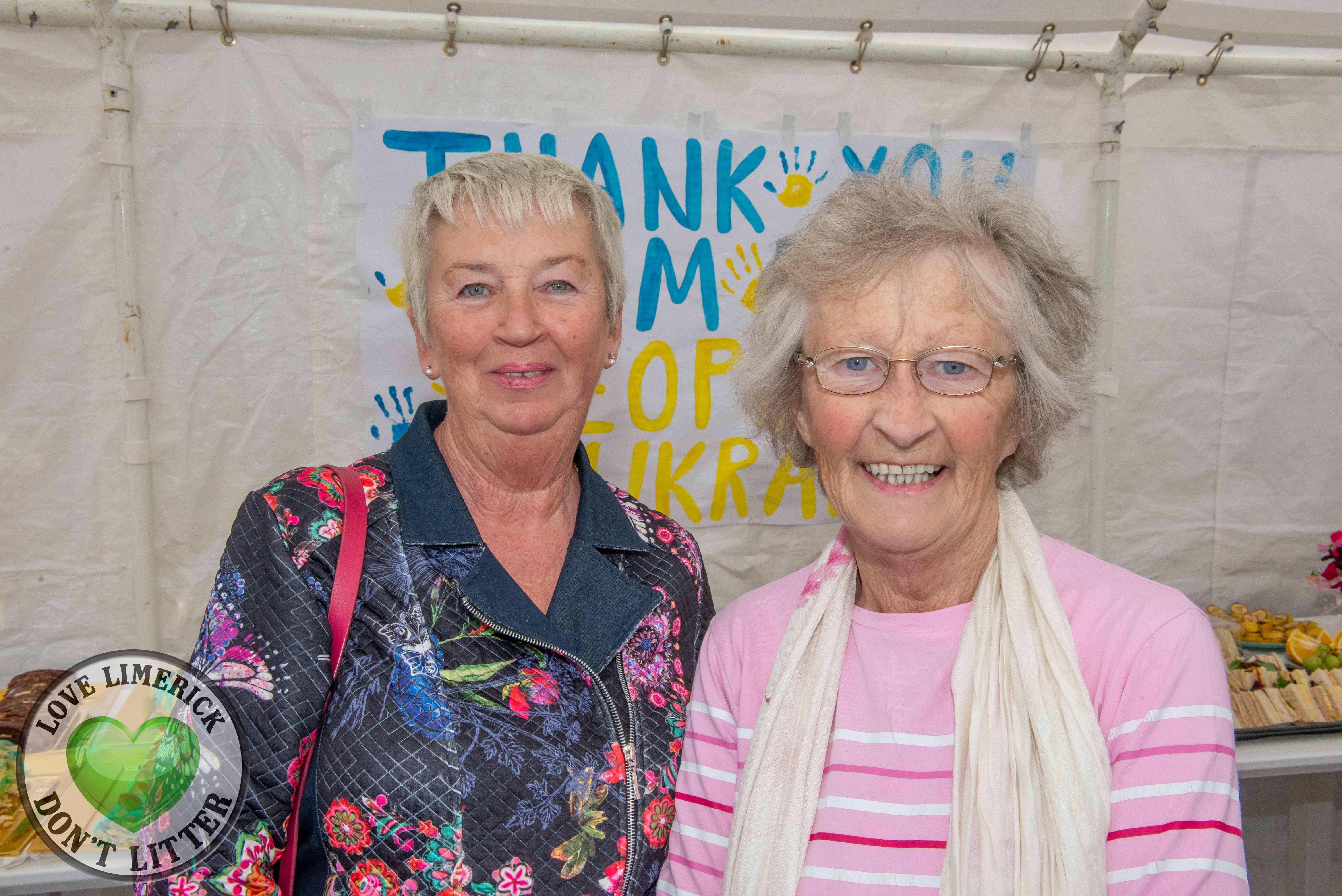 County's first Ukranian hurlers at Limerick's Tara House